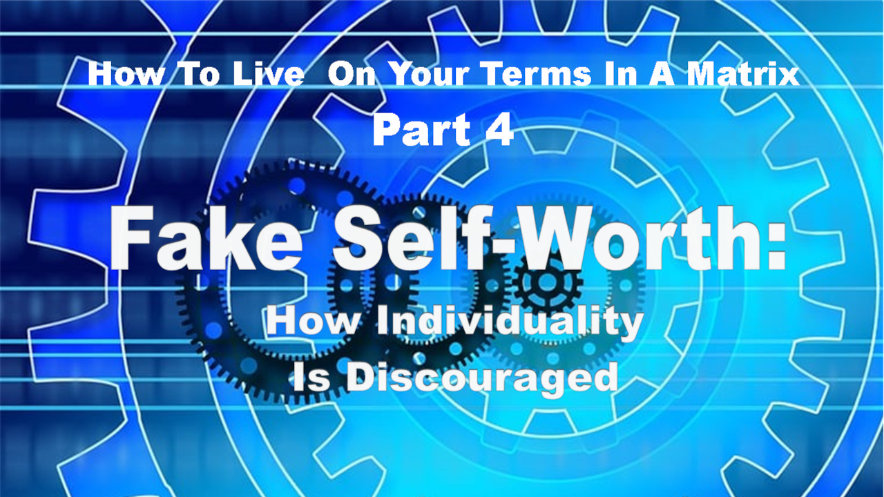 How To Live On Your Terms In A Matrix Trailer | Evolving Show