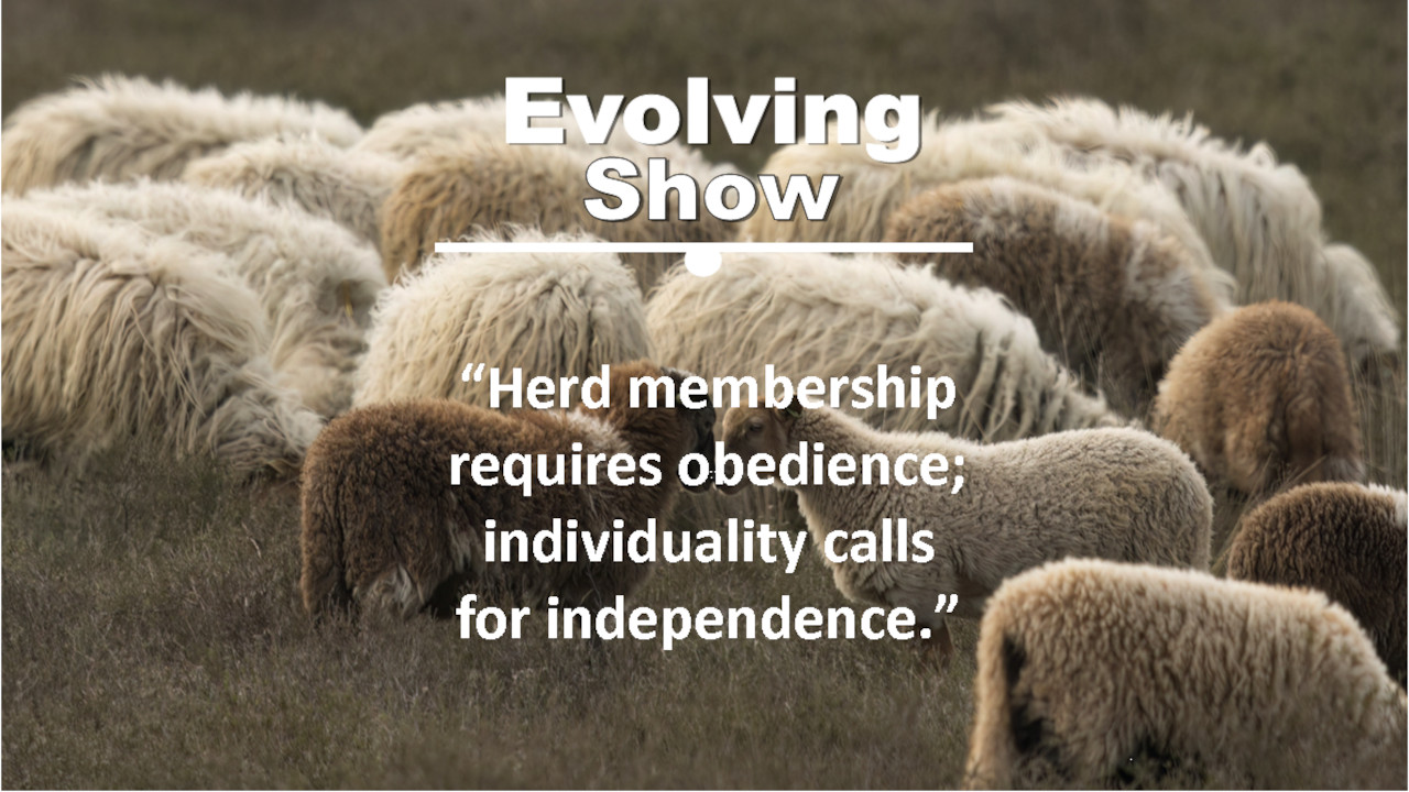 Fake Timelines: How Herd Mentality Is Promoted | Evolving Show